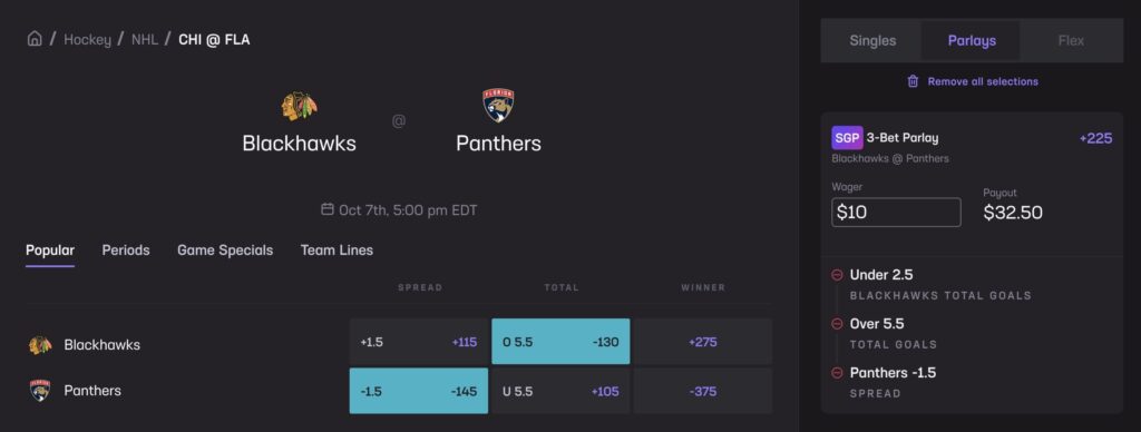What is a Puck Line in Hockey Betting?